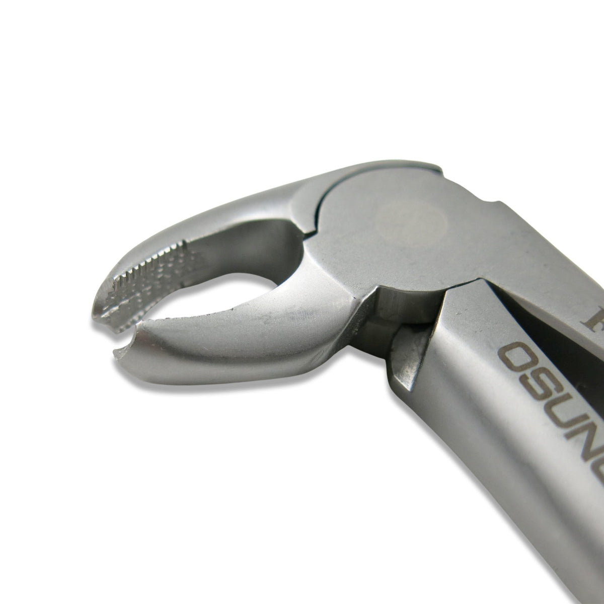 Adult Extraction Forcep, FXX22 | Osung USA