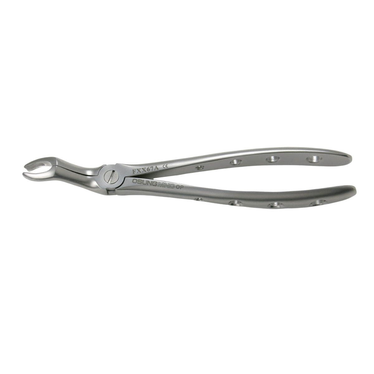 Adult Extraction Forcep, FXX67A | Osung USA