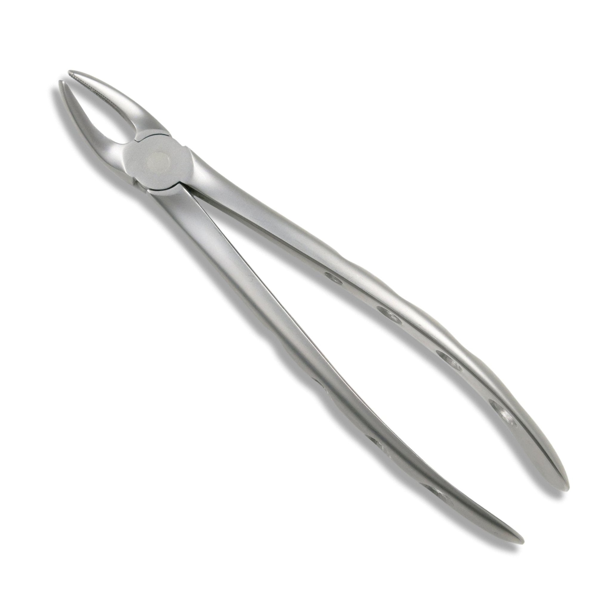 Adult Extraction Forcep, FXX7 | Osung USA
