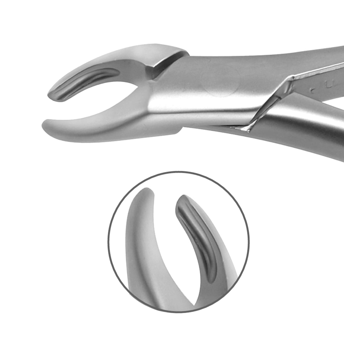 Dental Extraction Forceps #101 Premolars Premium Osung -FX101 | Osung USA